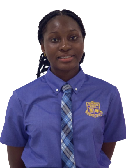 AIS MUN - Model United Nations