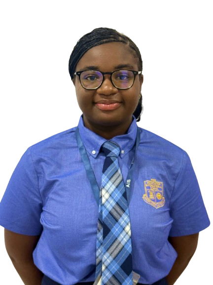 AIS MUN - Model United Nations