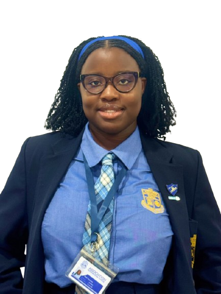 AIS MUN - Model United Nations